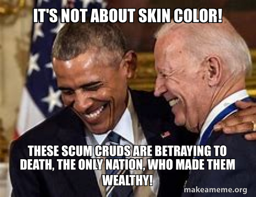 It's not about skin color! THESE SCUM CRUDS ARE BETRAYING TO DEATH, THE ...