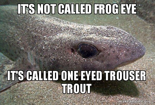 Dirty Frog Memes It's Not Called Frog Eye It's Called One Eyed Trouser