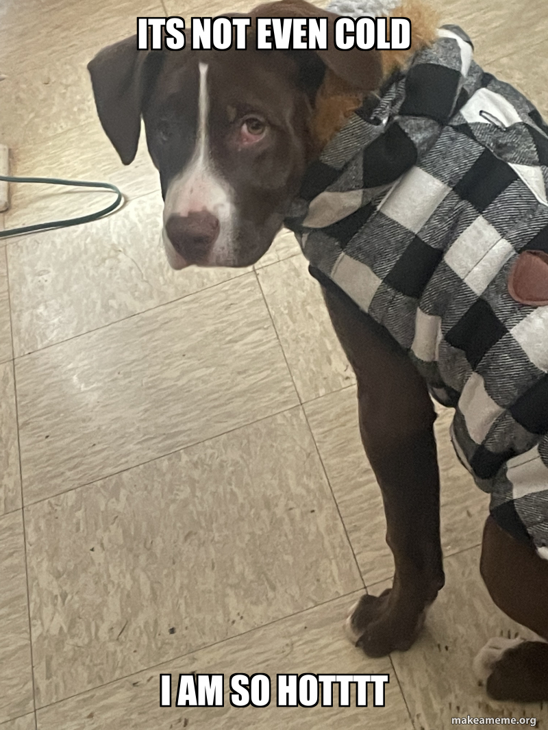 Its not even cold I am so HOTTTT Meme Generator