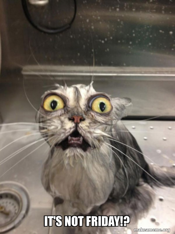 It's not Friday!? - Cat bath Meme Generator