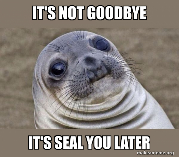 It's not goodbye It's Seal You later - Squeamish Seal Meme Generator