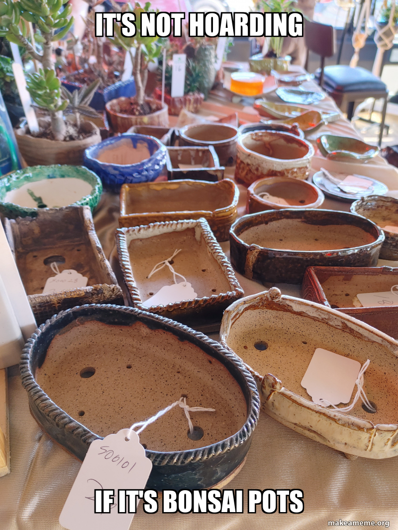 it's not hoarding if it's bonsai pots Meme Generator