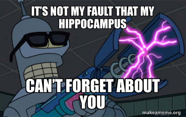 it’s not my fault that my Hippocampus can’t forget about you - Blasting ...