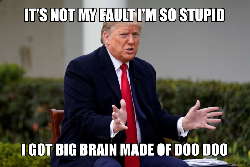 it's not my fault I'm so stupid I got big brain made of doo doo Meme Generator