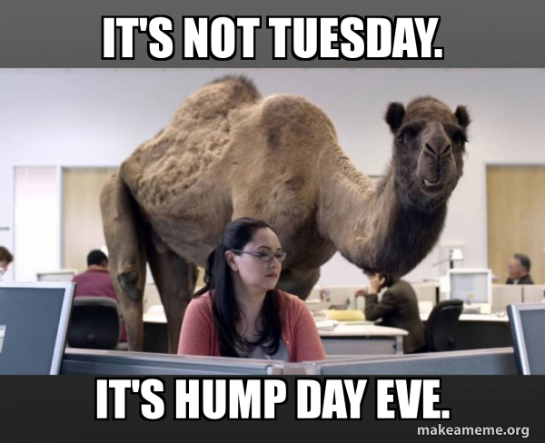 It's not Tuesday. It's Hump Day Eve. - Hump Day Camel Meme Generator