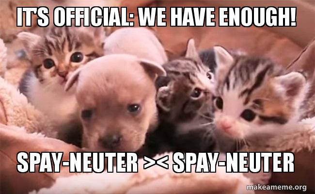 It's official: we have enough! spay-neuter >