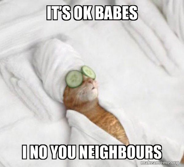 Itâ€™s ok babes I no you neighbours - Pampered Cat Meme | Make a Meme