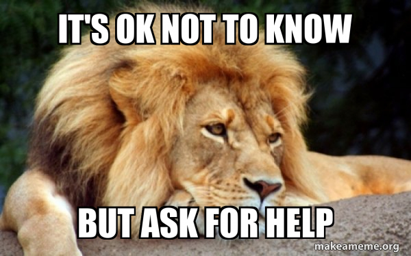 It's ok not to know but ask for help - Confession Lion Meme Generator