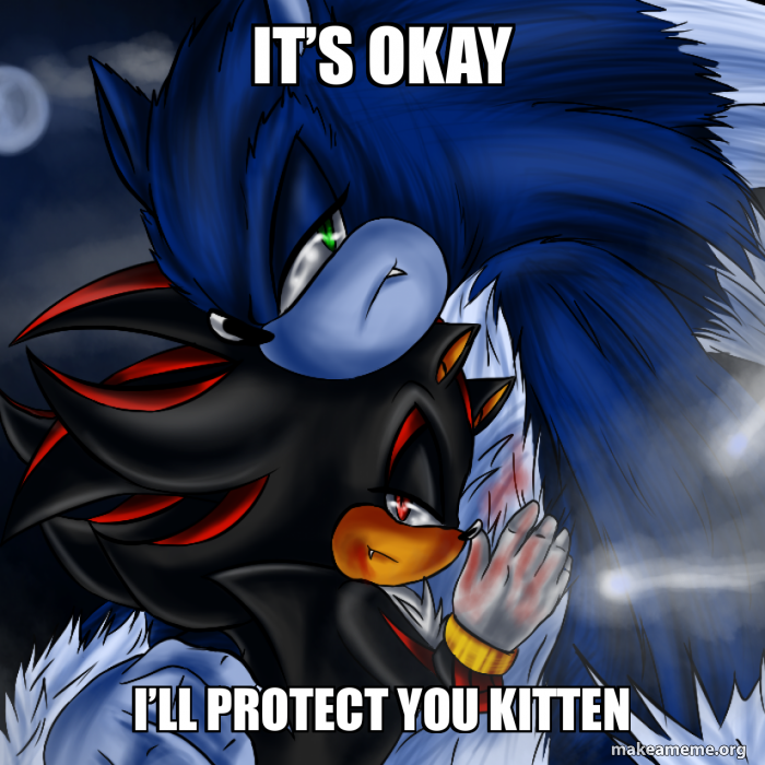 It’s okay I’ll protect you Kitten Meme Generator