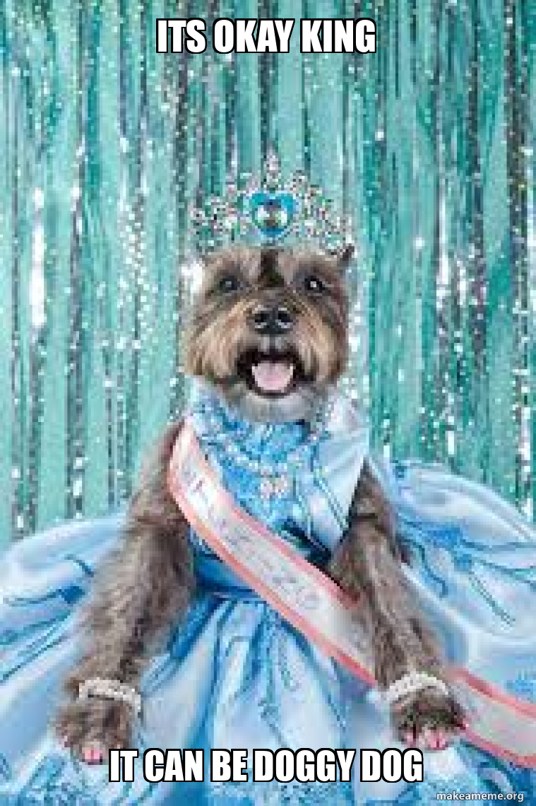 Its okay king It can be doggy dog Meme Generator