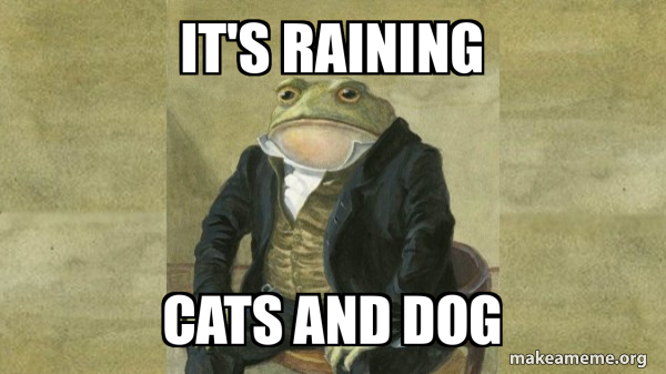It's raining Cats and dog - Colonel Toad Meme Generator
