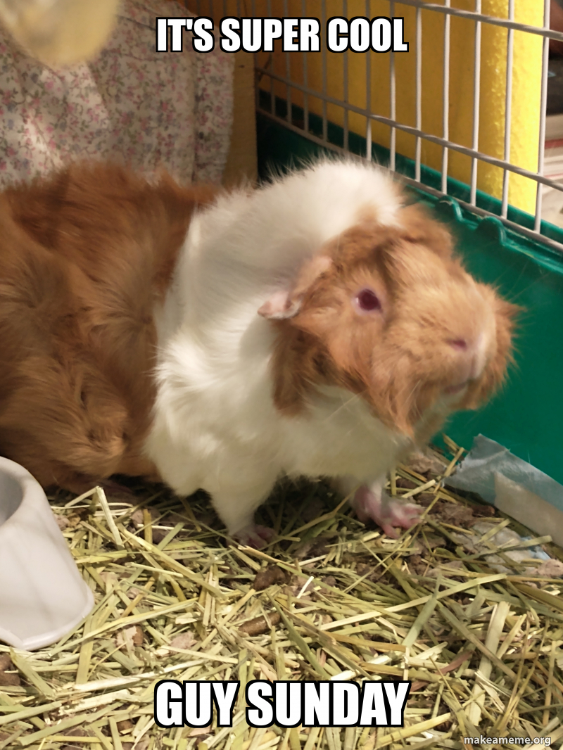 it's SUPER COOL guy Sunday Meme Generator