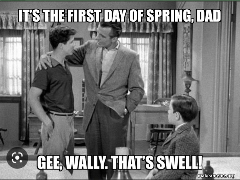 It’s the first day of Spring, dad - Swell Wally Meme Generator