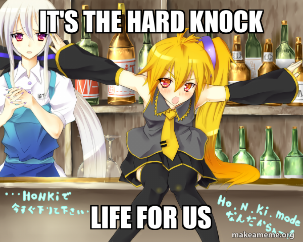 it's the hard knock life for us Meme Generator