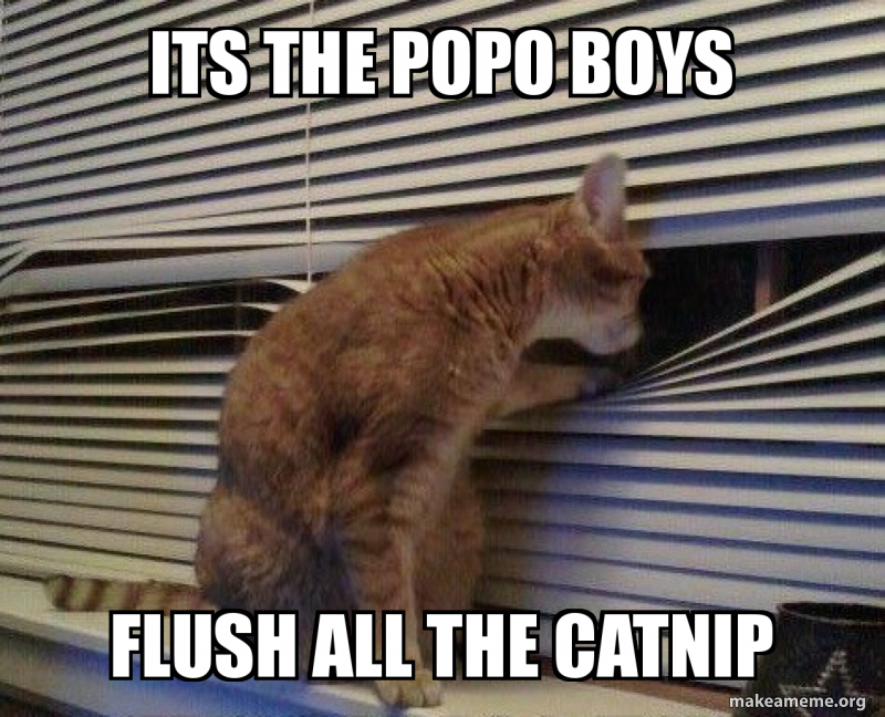 ITS THE POPO BOYS FLUSH ALL THE CATNIP Meme Generator