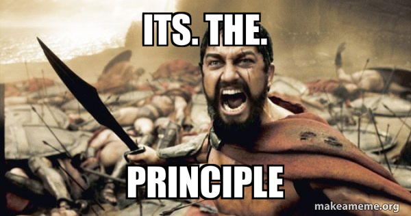 its. the. PRINCIPLE - The 300 Meme Generator