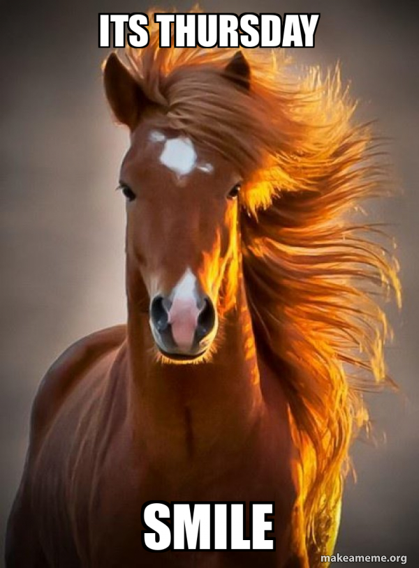Its Thursday Smile - Ridiculously photogenic horse Meme Generator