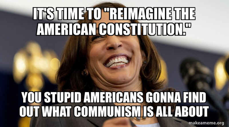 It's time to "Reimagine the American constitution." You stupid ...