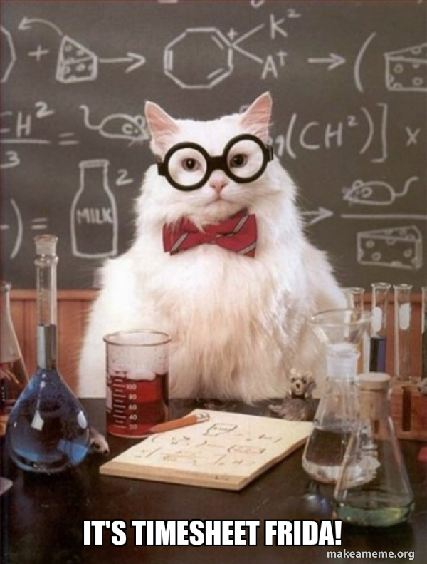 It's timesheet Frida! - Chemistry Cat Meme Generator