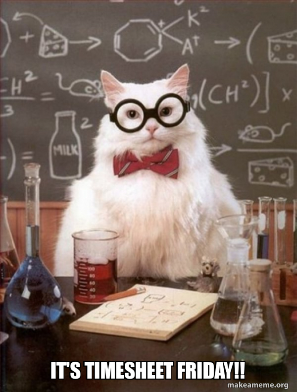 It's timesheet Friday!! - Chemistry Cat Meme Generator