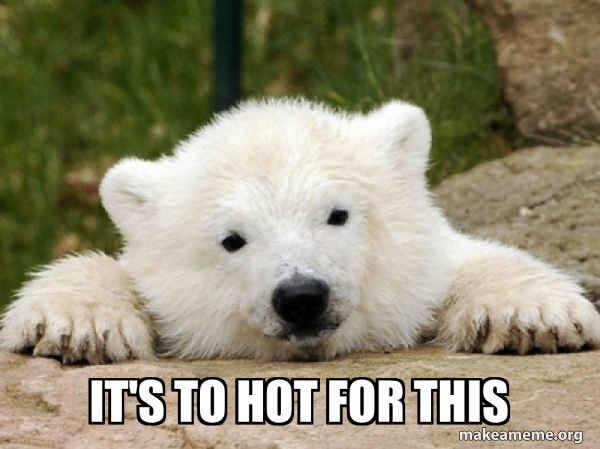 It's to hot for this - Popular Opinion Bear Meme Generator