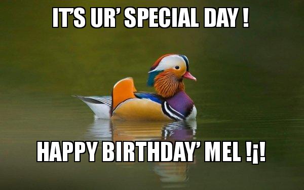Mel Birthday Memes Yoda Happy Birthday GIFs | Tenor