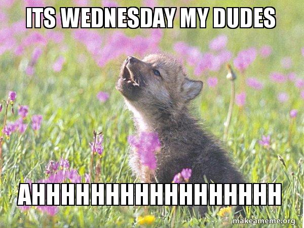 its Wednesday my dudes ahhhhhhhhhhhhhhhhh - Baby Insanity Wolf Meme ...