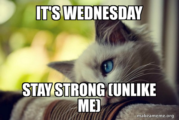 It's wednesday stay strong (UNLIKE ME) - First World Cat Problems Meme ...