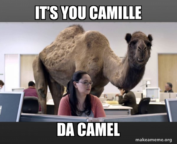 It’s you Camille Da camel - Hump Day Camel Meme Generator