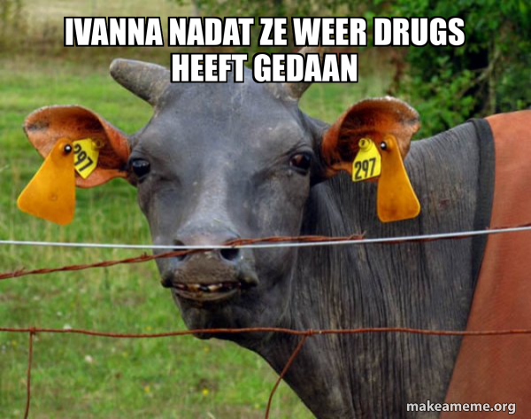 Ivanna nadat ze weer drugs heeft gedaan - Hairless Cow Meme Generator
