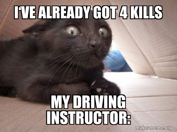I‘ve already got 4 kills My driving instructor: - Schitzo Cat Meme ...