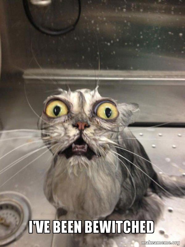 I'VE BEEN BEWITCHED - Cat bath Meme Generator