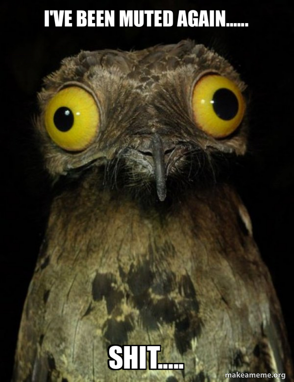 I've been muted again...... Shit..... - Weird Stuff I do Potoo Meme ...