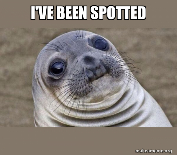 I've been spotted - Squeamish Seal Meme Generator