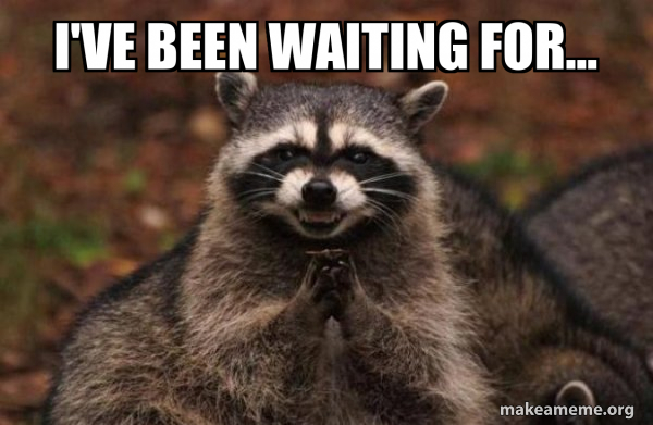 I've been waiting for... - Evil Plotting Raccoon Meme Generator