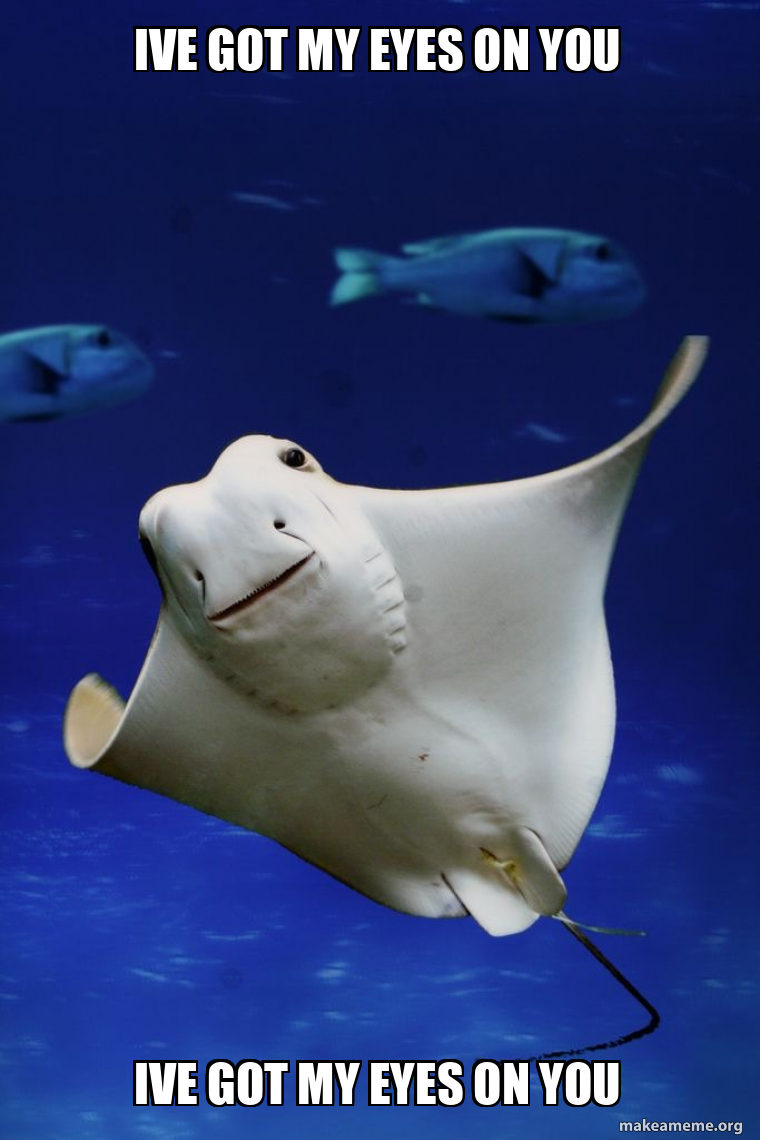 IVE GOT MY EYES ON YOU IVE GOT MY EYES ON YOU Meme Generator