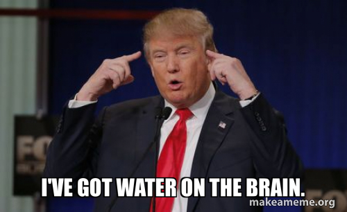 i've got water on the brain. Meme Generator