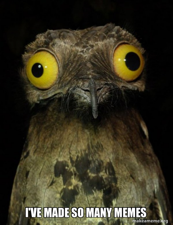 I've made so many memes - Weird Stuff I do Potoo Meme Generator