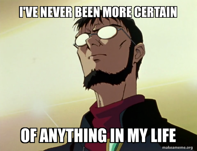 I'VE NEVER BEEN MORE CERTAIN OF ANYTHING IN MY LIFE Meme Generator