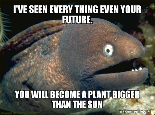 I've seen every thing even your future. You will become a plant bigger ...