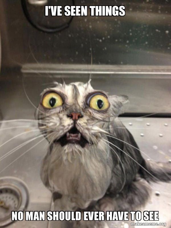 i've seen things no man should ever have to see - Cat bath Meme Generator