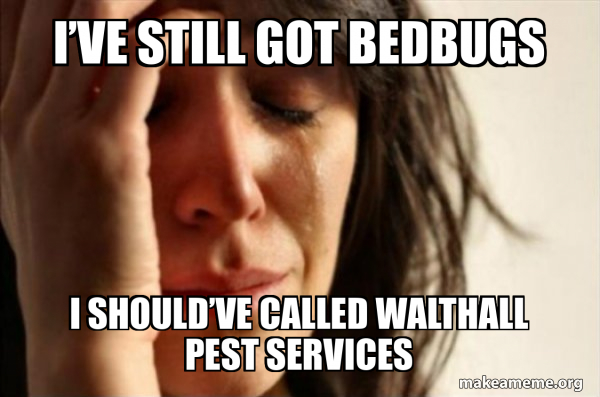 I’ve still got bedbugs I should’ve called Walthall Pest Services ...