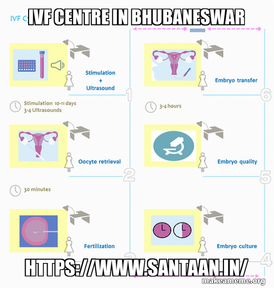 ivf centre in Bhubaneswar https://www.santaan.in/ Meme Generator