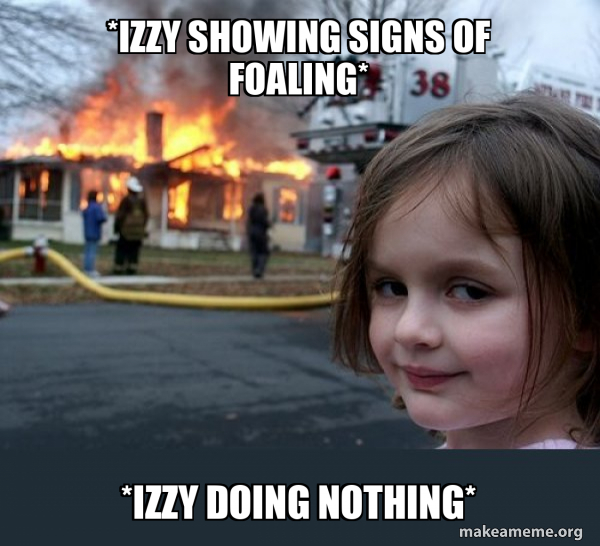 *Izzy showing signs of foaling* *Izzy doing nothing* - Disaster Girl ...
