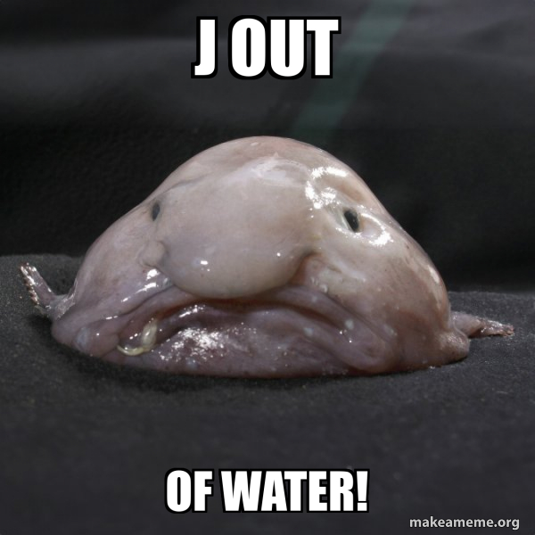 J out Of water! - Blobfish Meme Generator