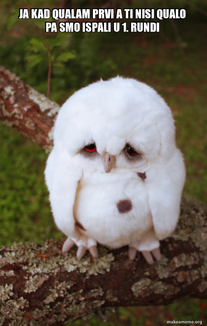 Ja kad qualam prvi a ti nisi qualo pa smo ispali u 1. rundi - Sad Owl ...
