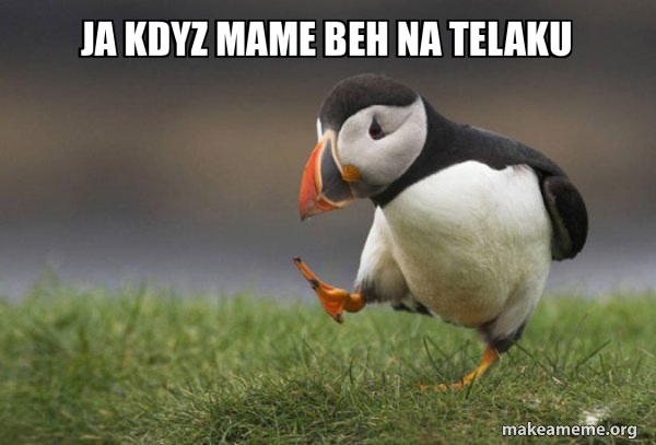 ja kdyz mame beh na telaku - Unpopular Opinion Puffin Meme Generator