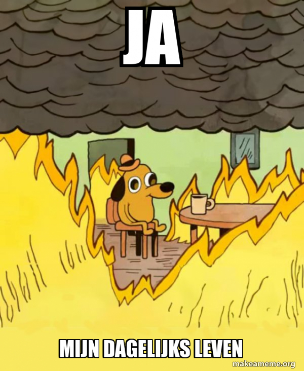 ja mijn dagelijks leven - This Is Fine Meme Generator