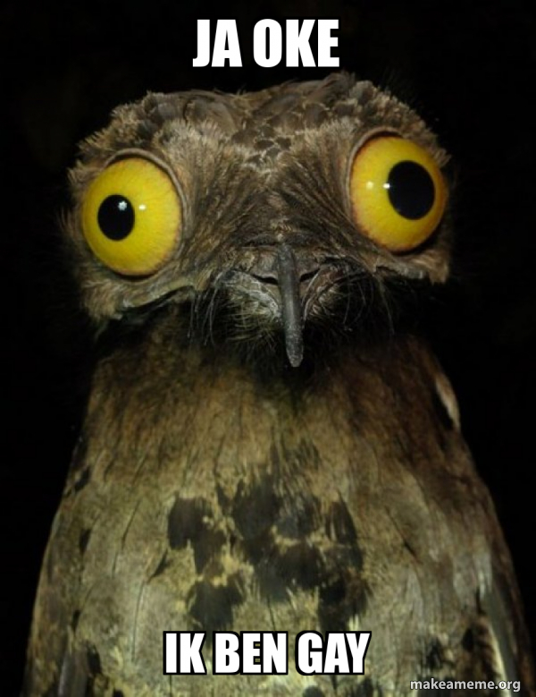 ja oke ik ben gay - Weird Stuff I do Potoo Meme Generator