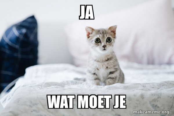 ja wat moet je - Cute Kitten Meme Generator